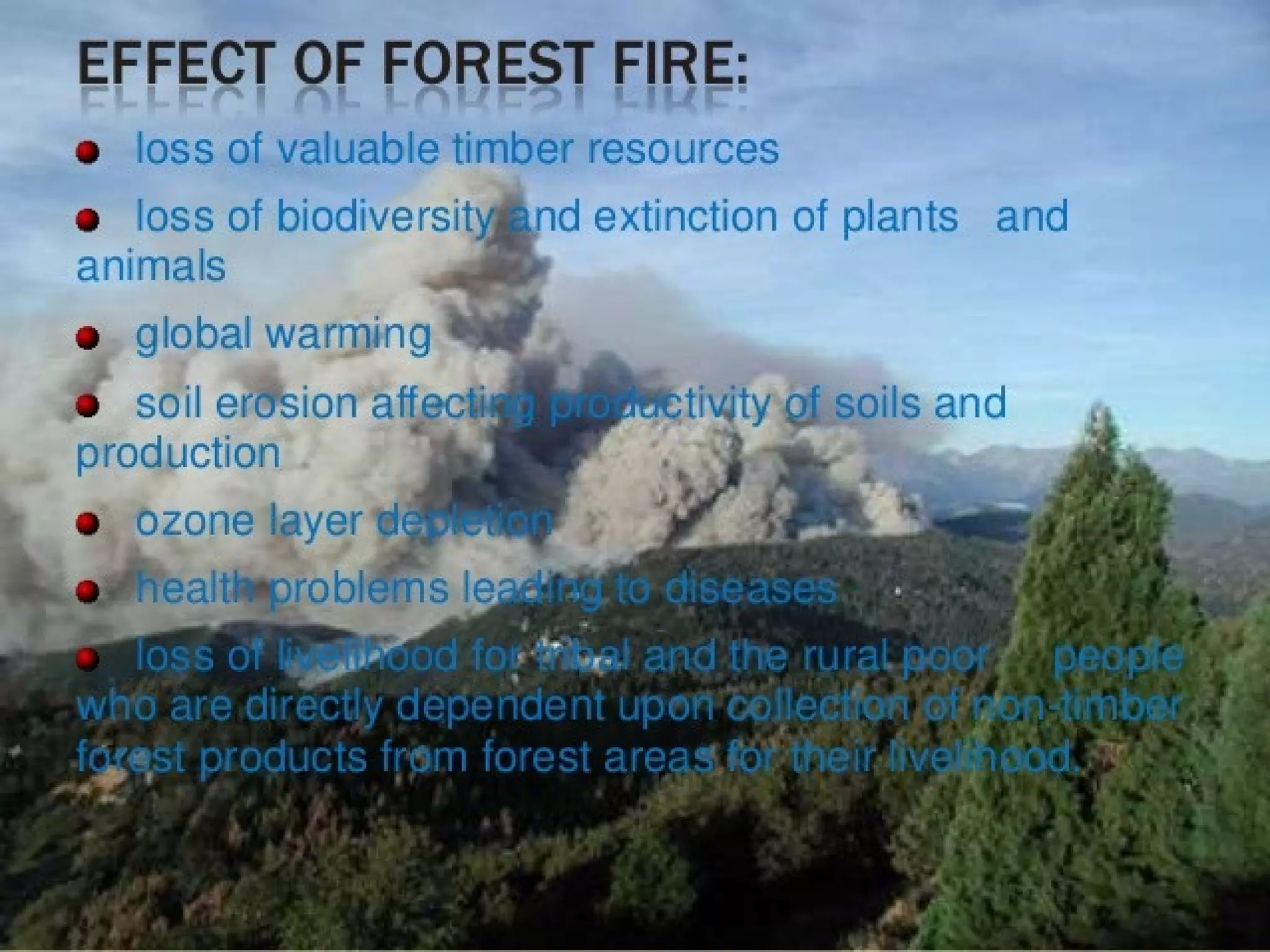 Heat Wave & Forest Fire Disaster Management PPT | PPT