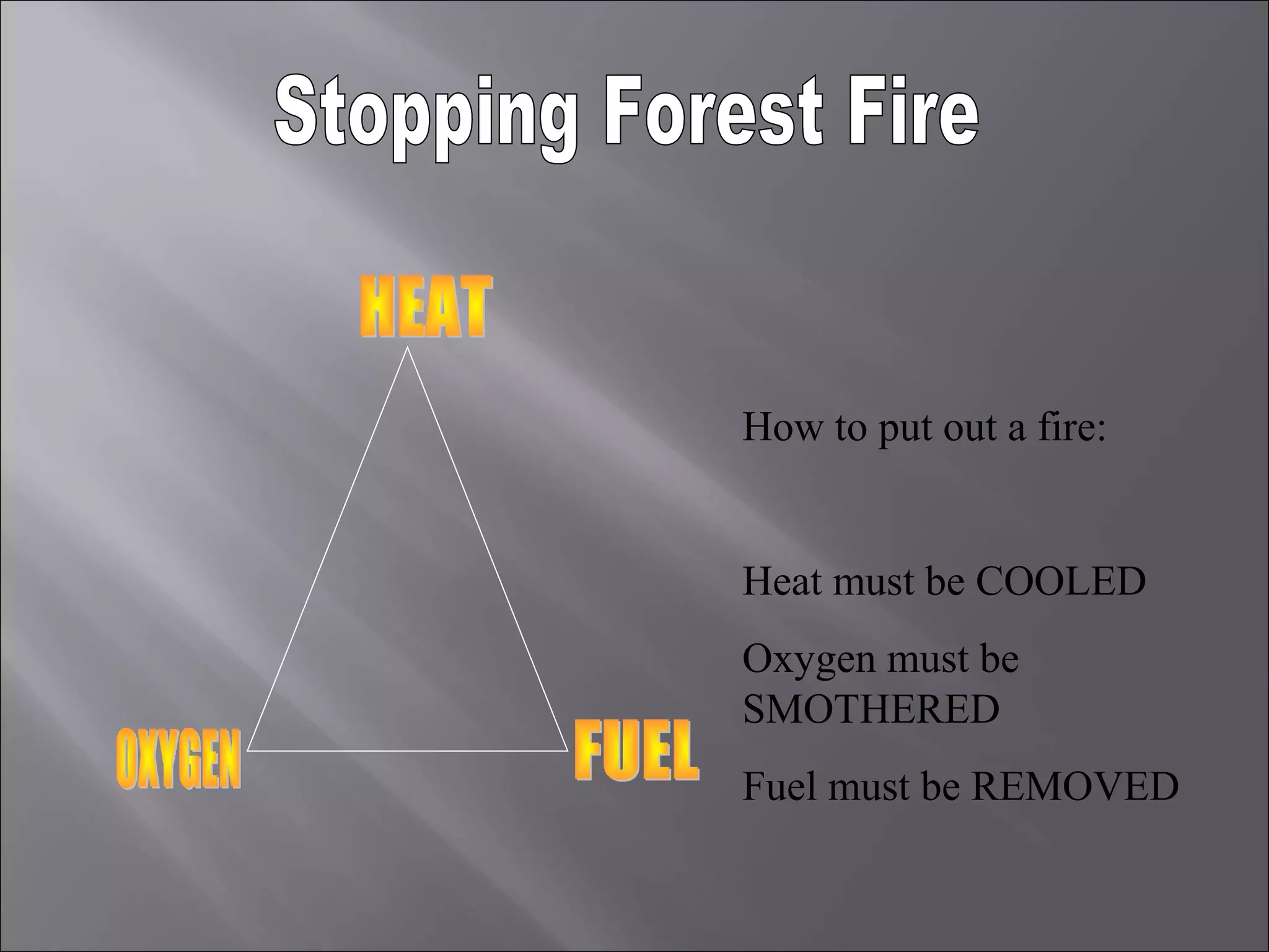 Heat Wave & Forest Fire Disaster Management PPT | PPT
