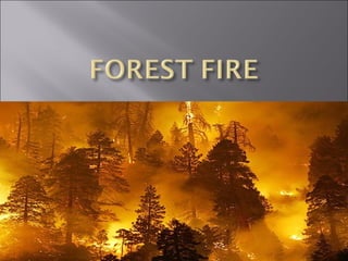 Heat Wave & Forest Fire Disaster Management PPT | PPT