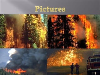 Heat Wave & Forest Fire Disaster Management PPT | PPT