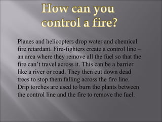 Heat Wave & Forest Fire Disaster Management PPT | PPT