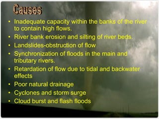 Disaster management | PPT