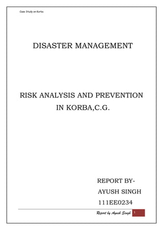 Disaster management | PDF