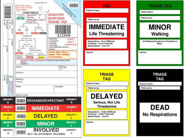 Disaster management | PPTX
