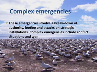 Disaster management | PPTX