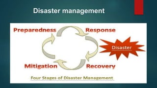 Disaster management and case study ppt | PPTX