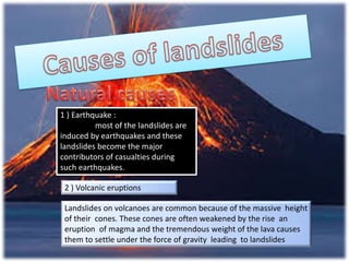 Disaster management | PPTX