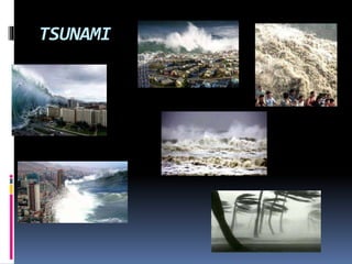 Disaster management | PPT