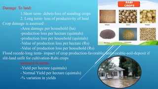 Disaster management | PPT | Free Download