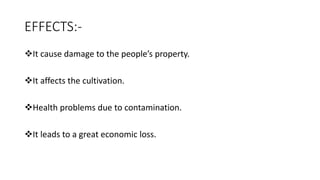 Disaster management | PPTX