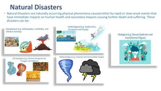 Disaster management | PPT