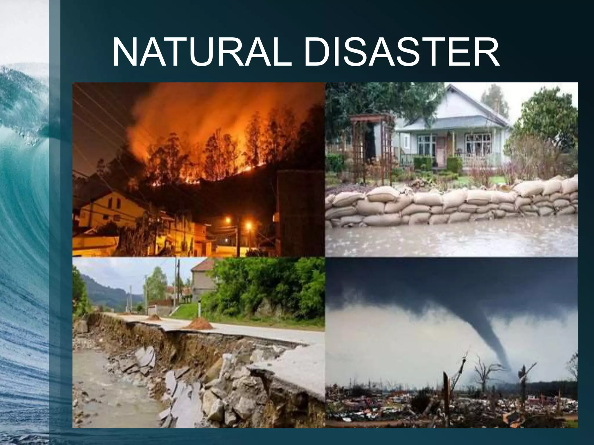 Disaster Management | PPTX