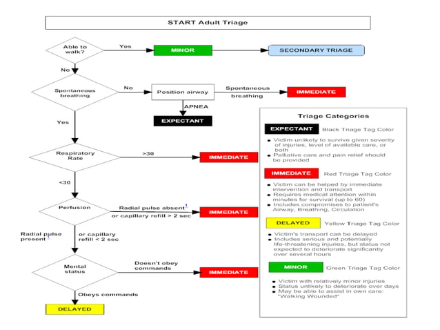 Disaster management | PPTX | First Aid | Injuries