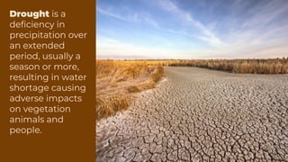 Drought ( Disaster Management) | PPT | Free Download