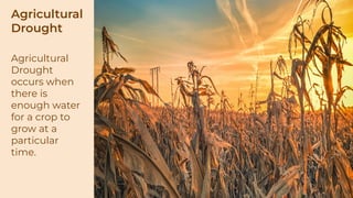 Drought ( Disaster Management) | PPT | Free Download