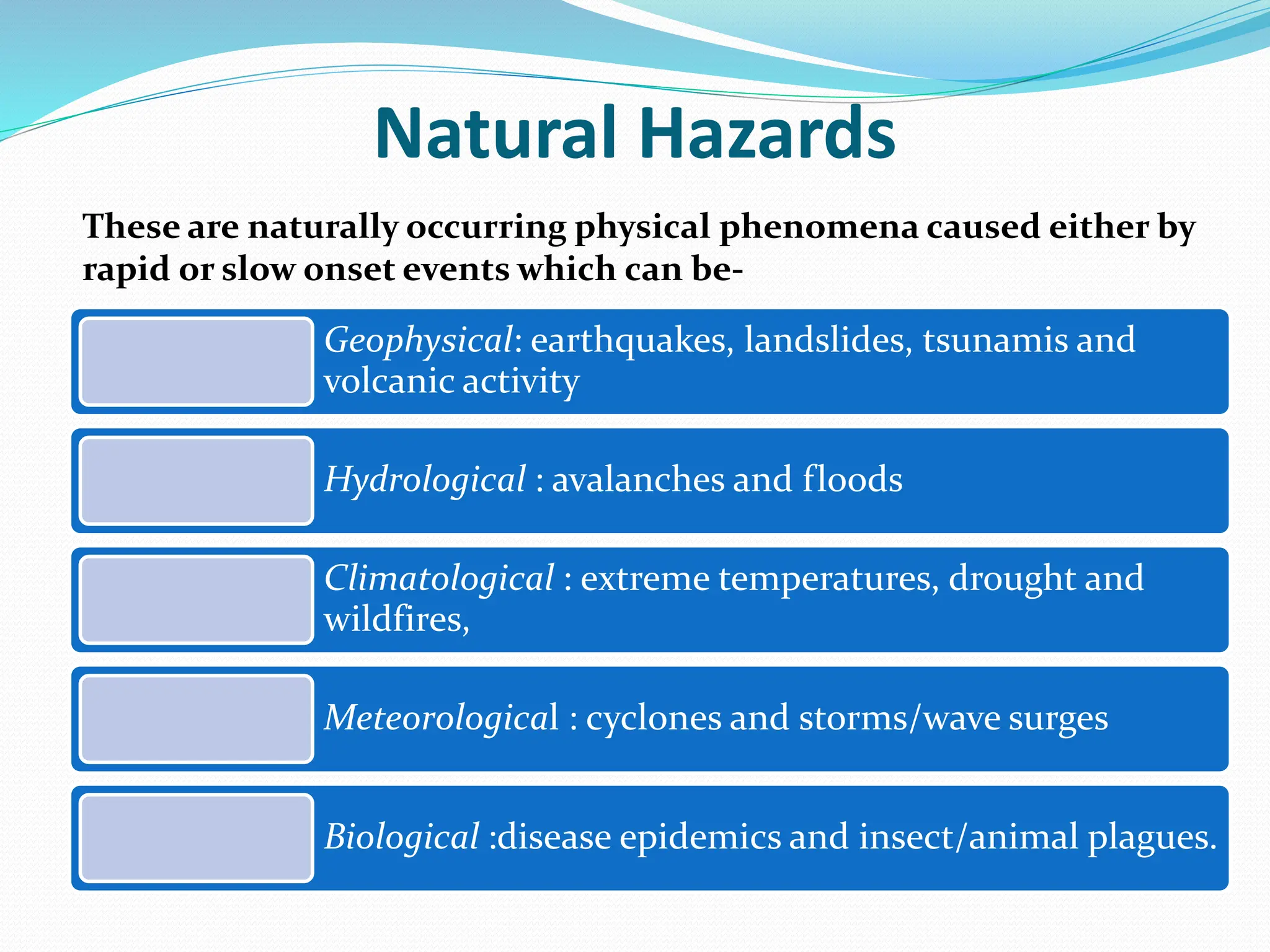 DISASTER MANAGEMENT.pptx