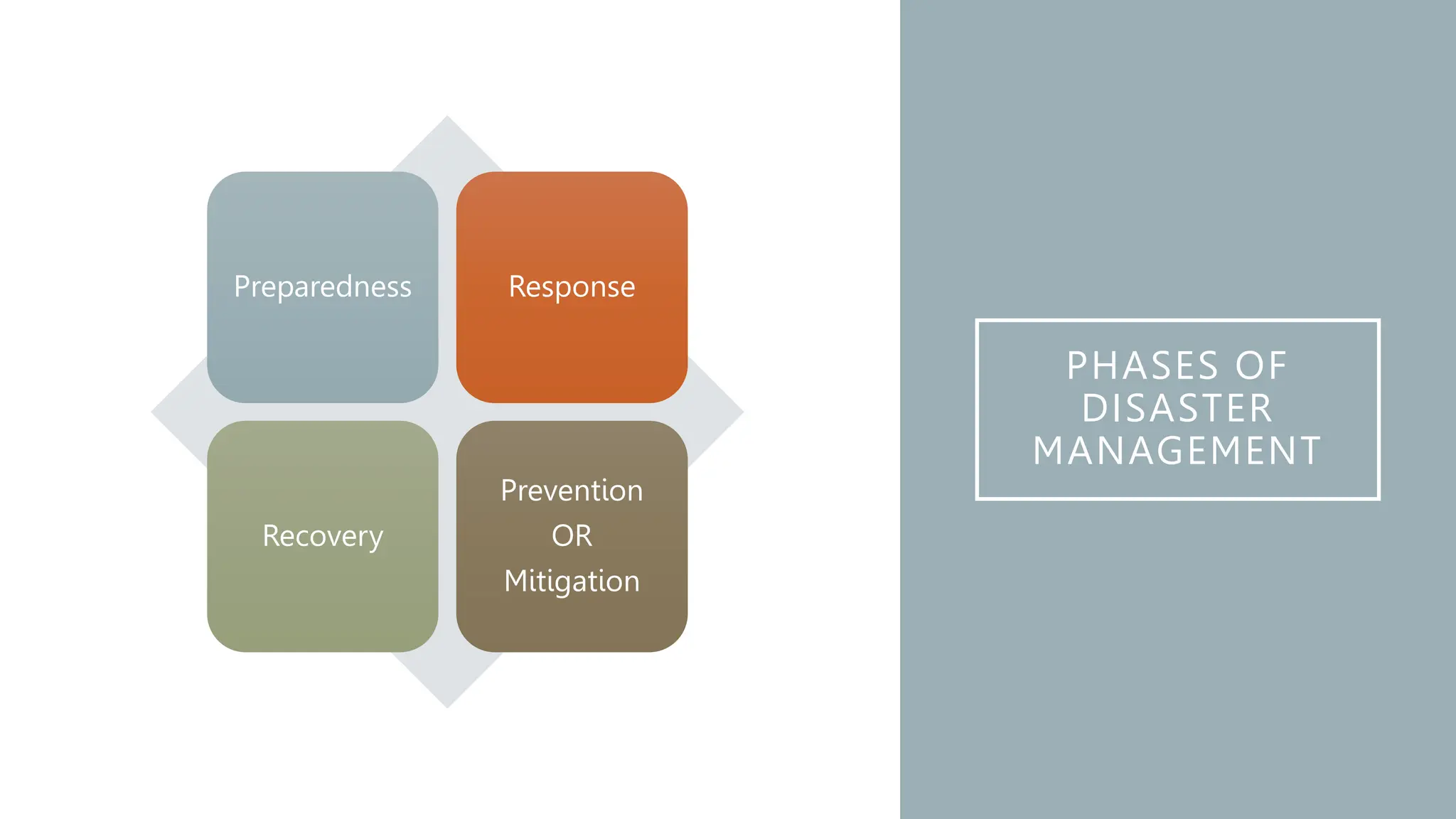 DISASTER MANAGEMENt ppt xxxfhvbvhjgjhgjjgh | PPT