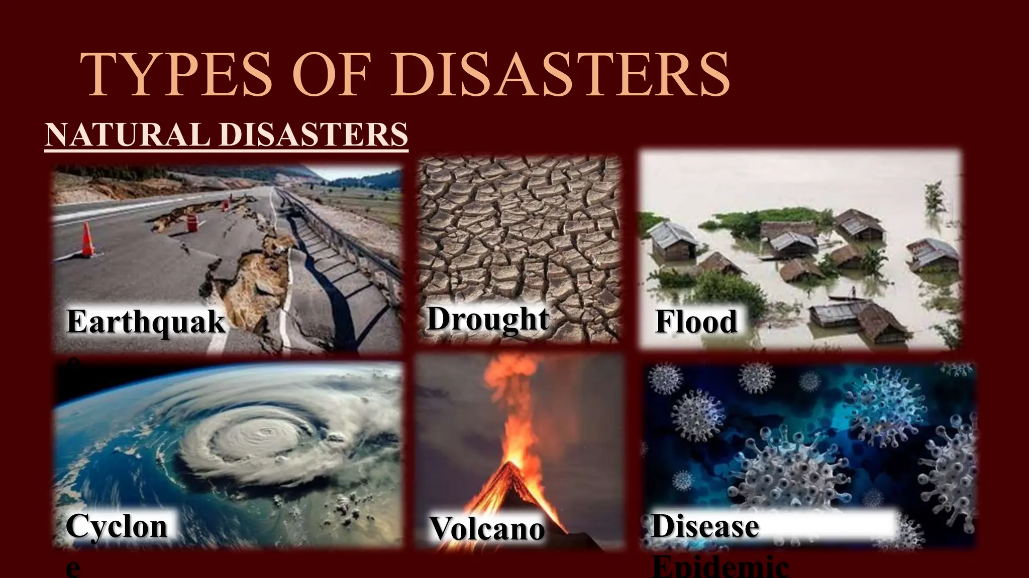 Disaster Management project for holidays homework and other uses | PPTX ...
