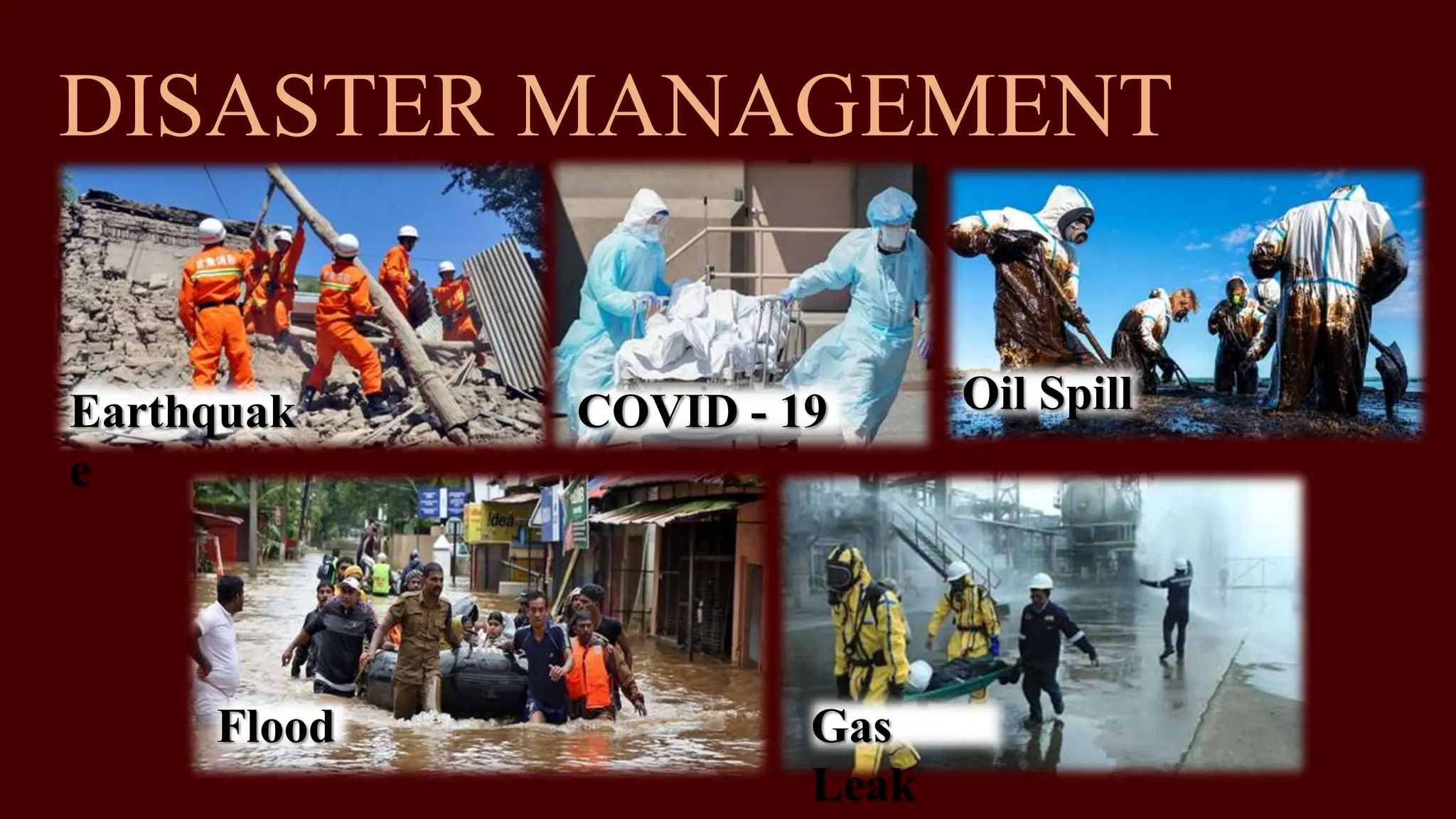 Disaster Management project for holidays homework and other uses | PPTX ...