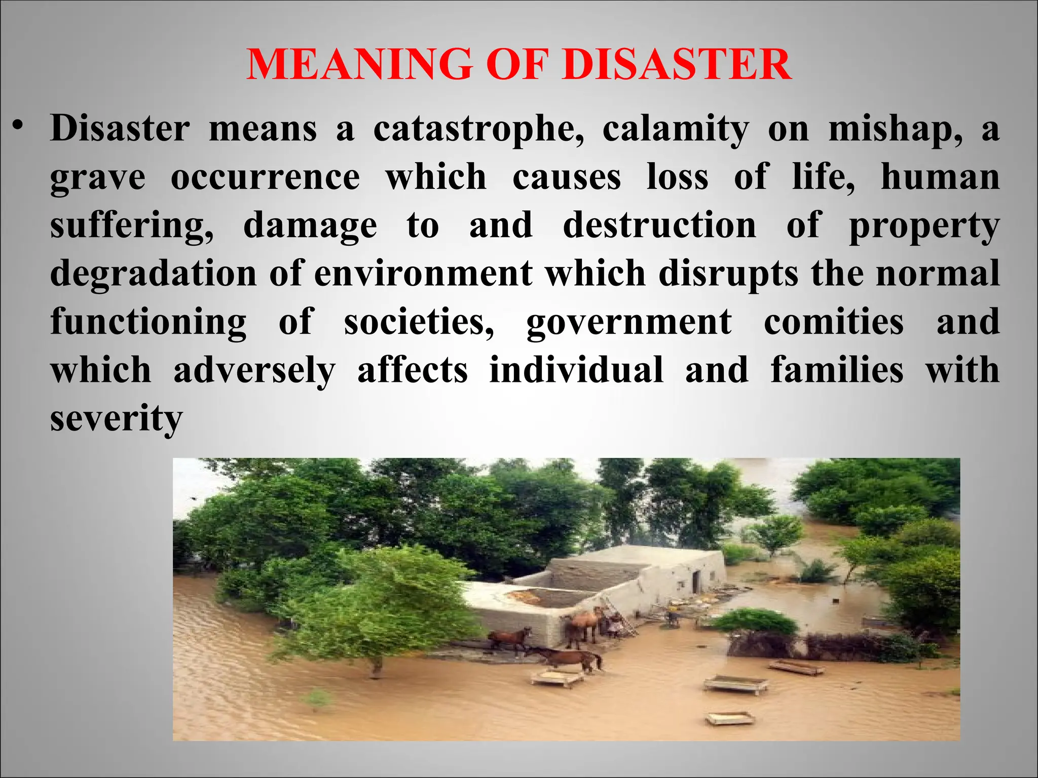DISASTER management roles and responsibilities | PPT