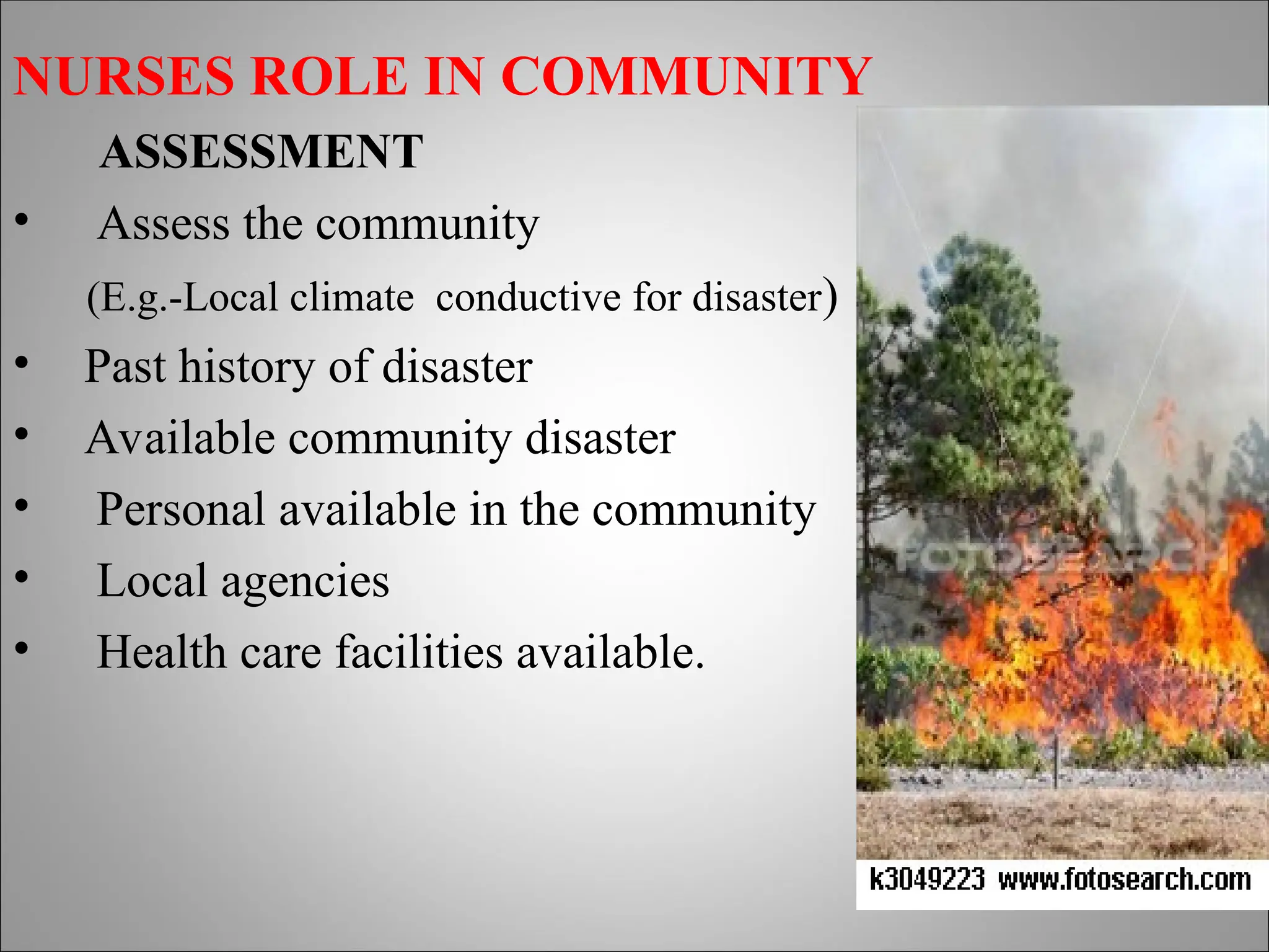 DISASTER management roles and responsibilities | PPT