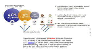 Disaster Management Basics | PDF