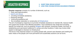 Disaster Management Basics | PDF