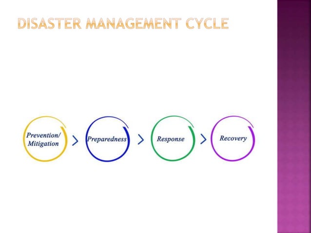 Disaster management cycle | PPTX