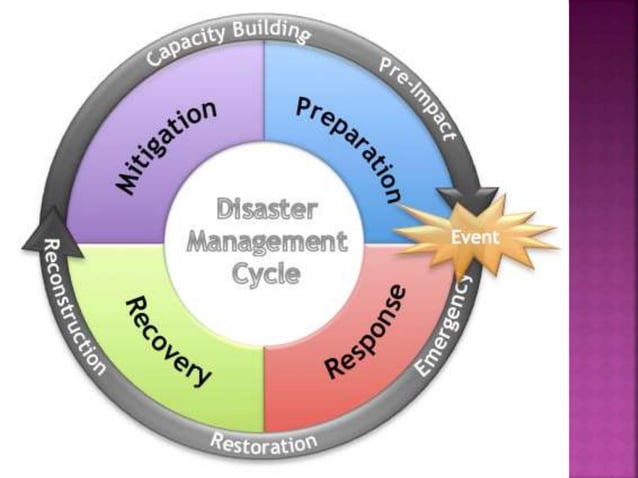 Disaster management cycle | PPTX