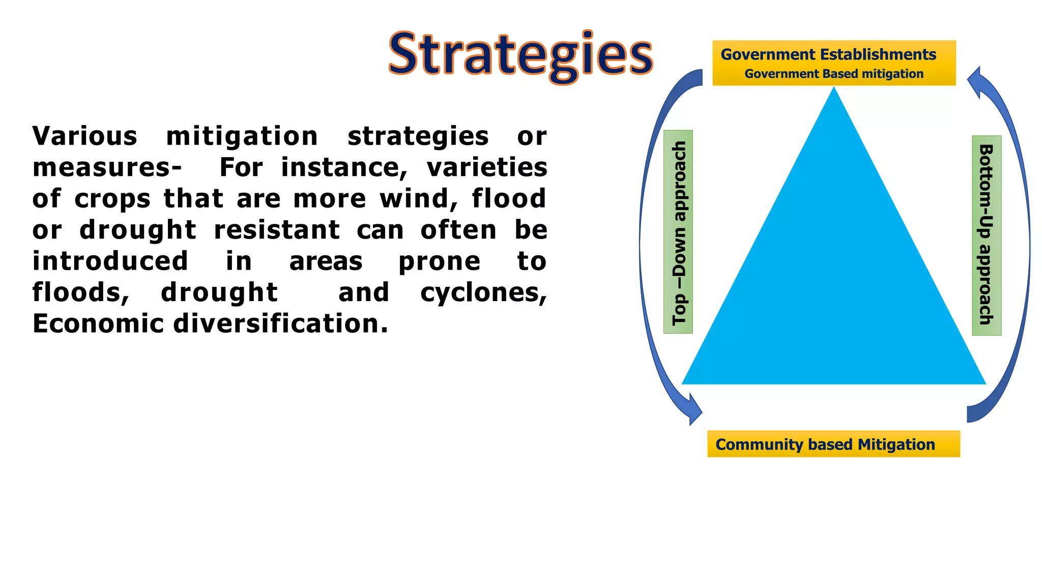 Disaster management cycle | PPTX