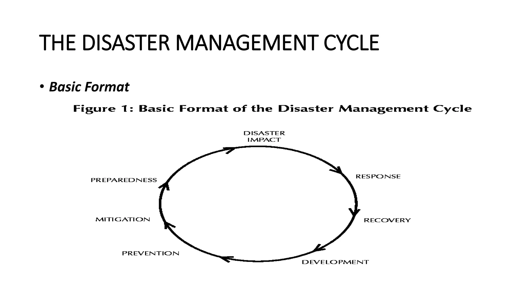 Disaster management cycle | PPTX