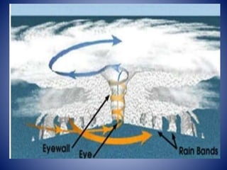 Disaster management Cyclone.pptx
