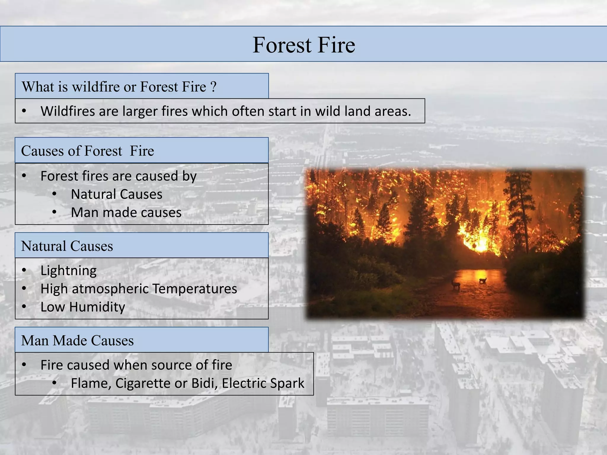 Disaster management forest fire | PDF