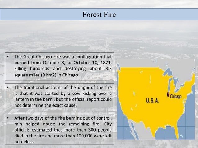 Disaster management forest fire | PDF
