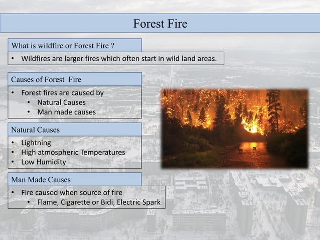 Disaster management forest fire | PDF
