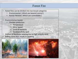 Disaster management forest fire | PDF