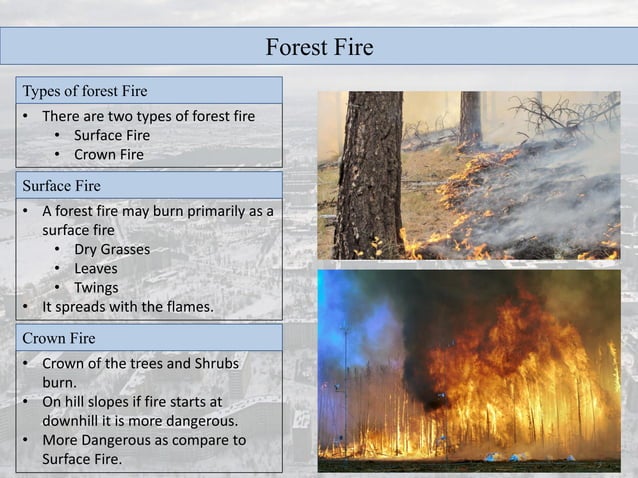 Disaster management forest fire | PDF