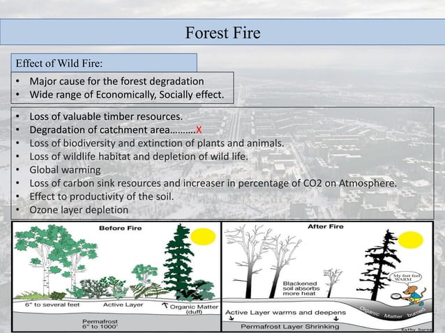 Disaster management forest fire | PDF