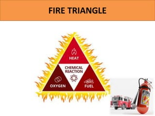 Disaster management in hospital ppt | PPTX