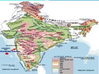 Disaster Management Landslide Ppt