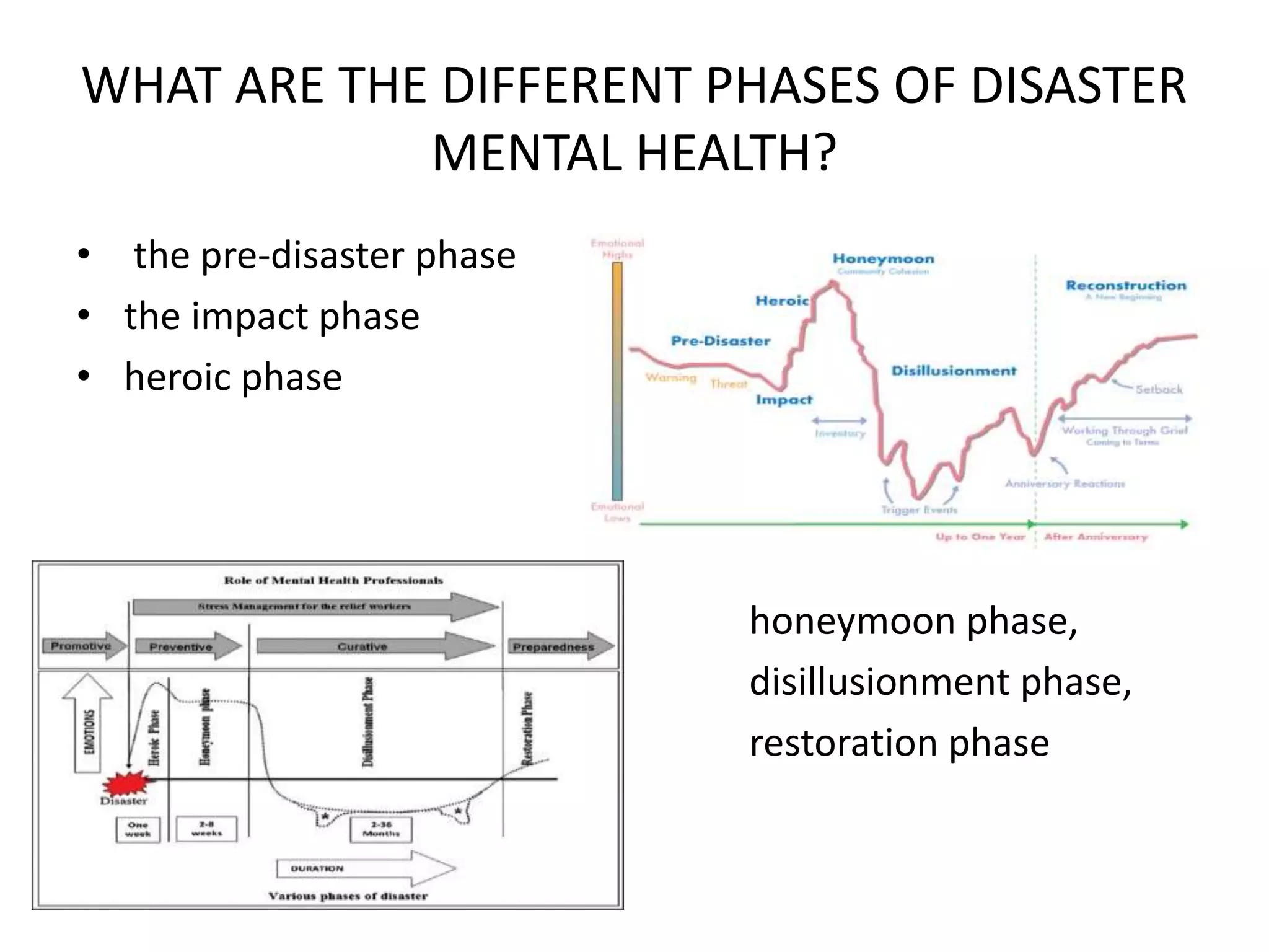Disaster management mental health perspective dr p.b.patil | PPTX