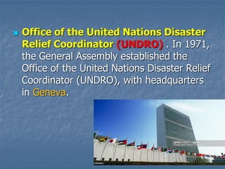 Disaster management Organizations of India and International peterpdb ...