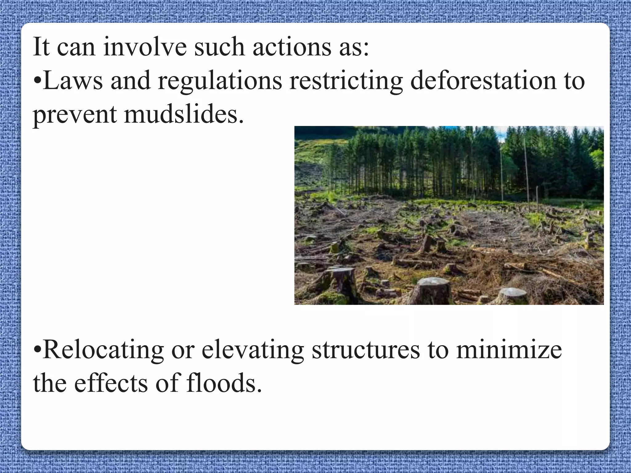 Disaster management ppt | PPTX