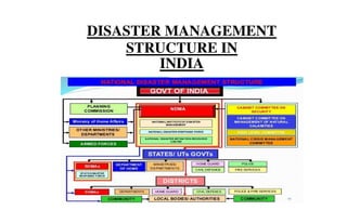 Disaster management ppt | PDF