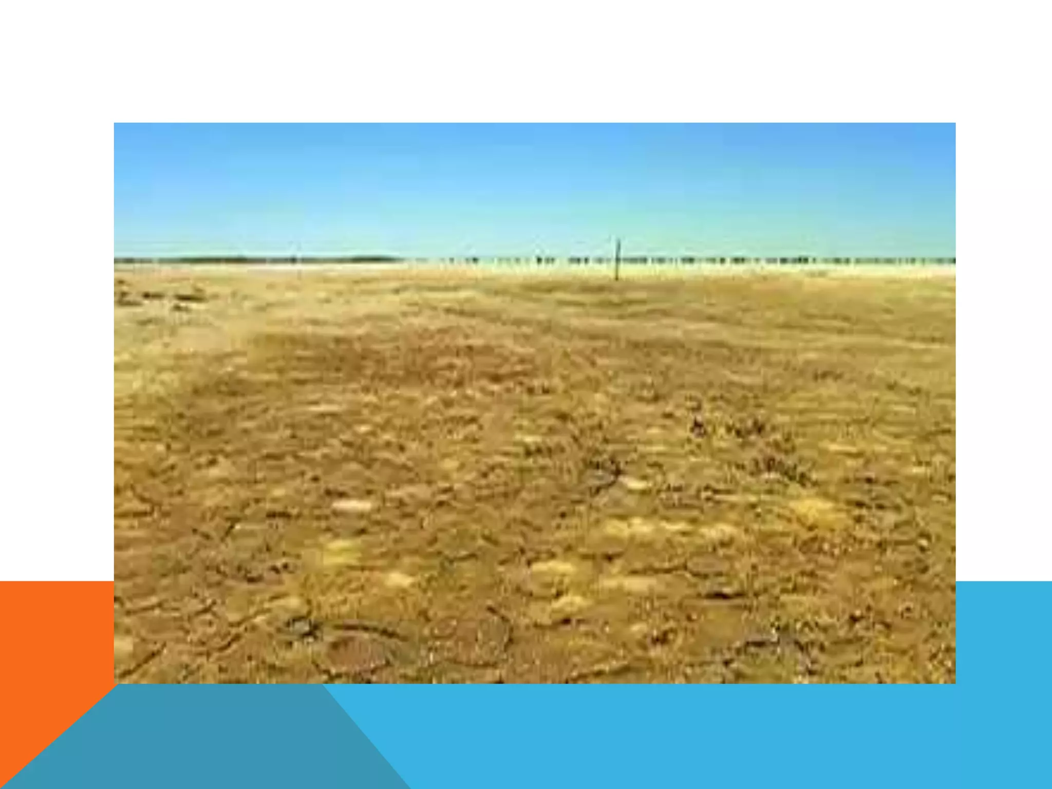 Disaster management | PPTX