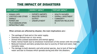 Disaster management presentation | PPTX