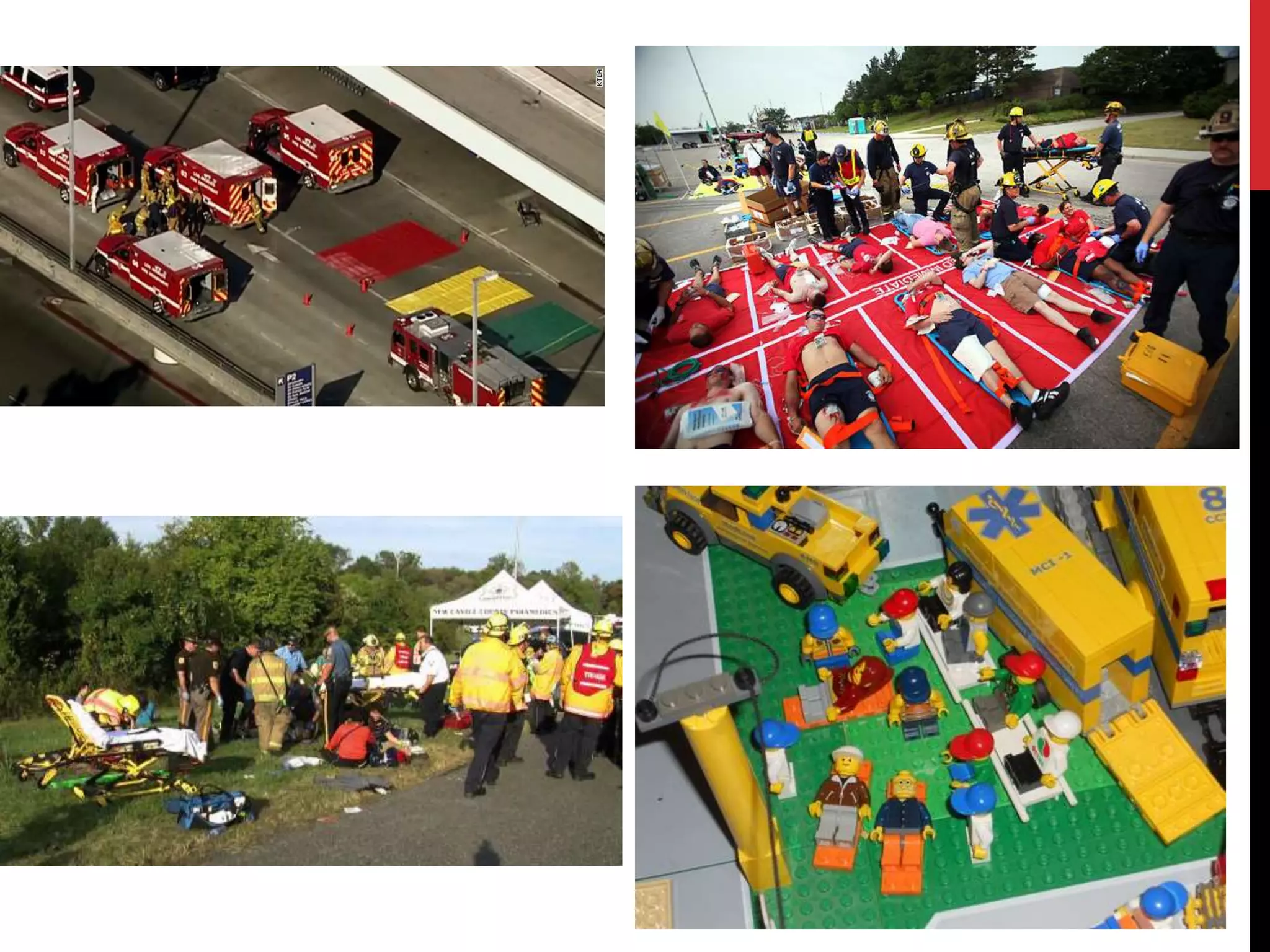 Disaster management principles | PPTX