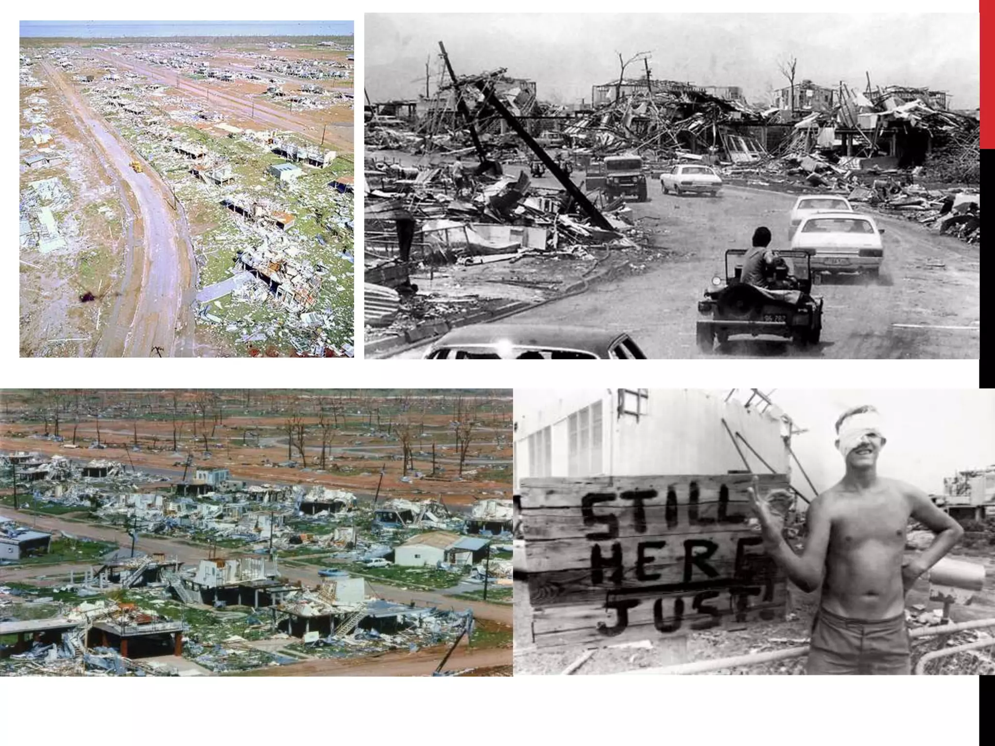 Disaster management principles | PPTX