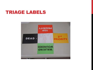 Disaster management principles | PPTX