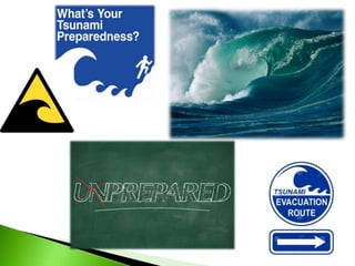 What To Do Before Tsunami
